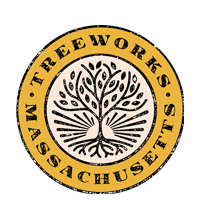 Treeworks Pop-Up | Cape Cod Cannabis Dispensary