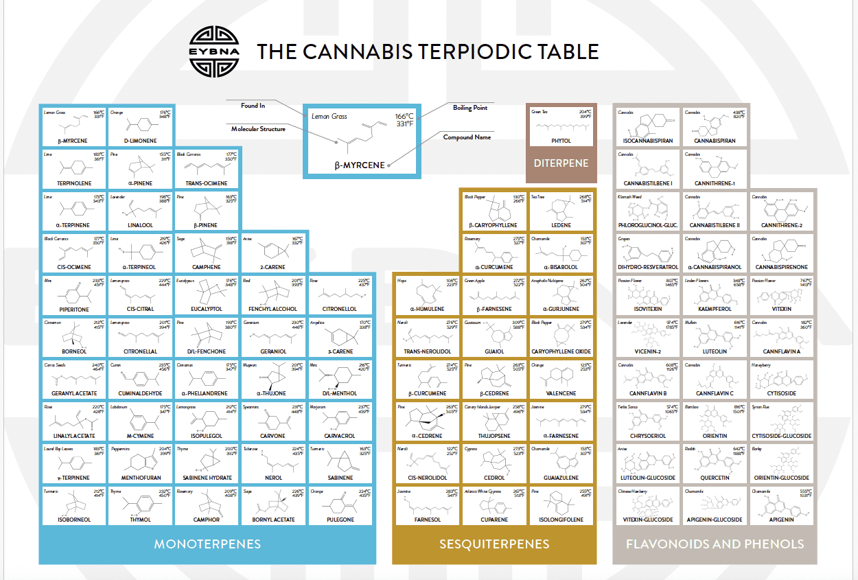 Terpene & Cannabinoid Guide 101 | Cape Cod Cannabis Wellfleet